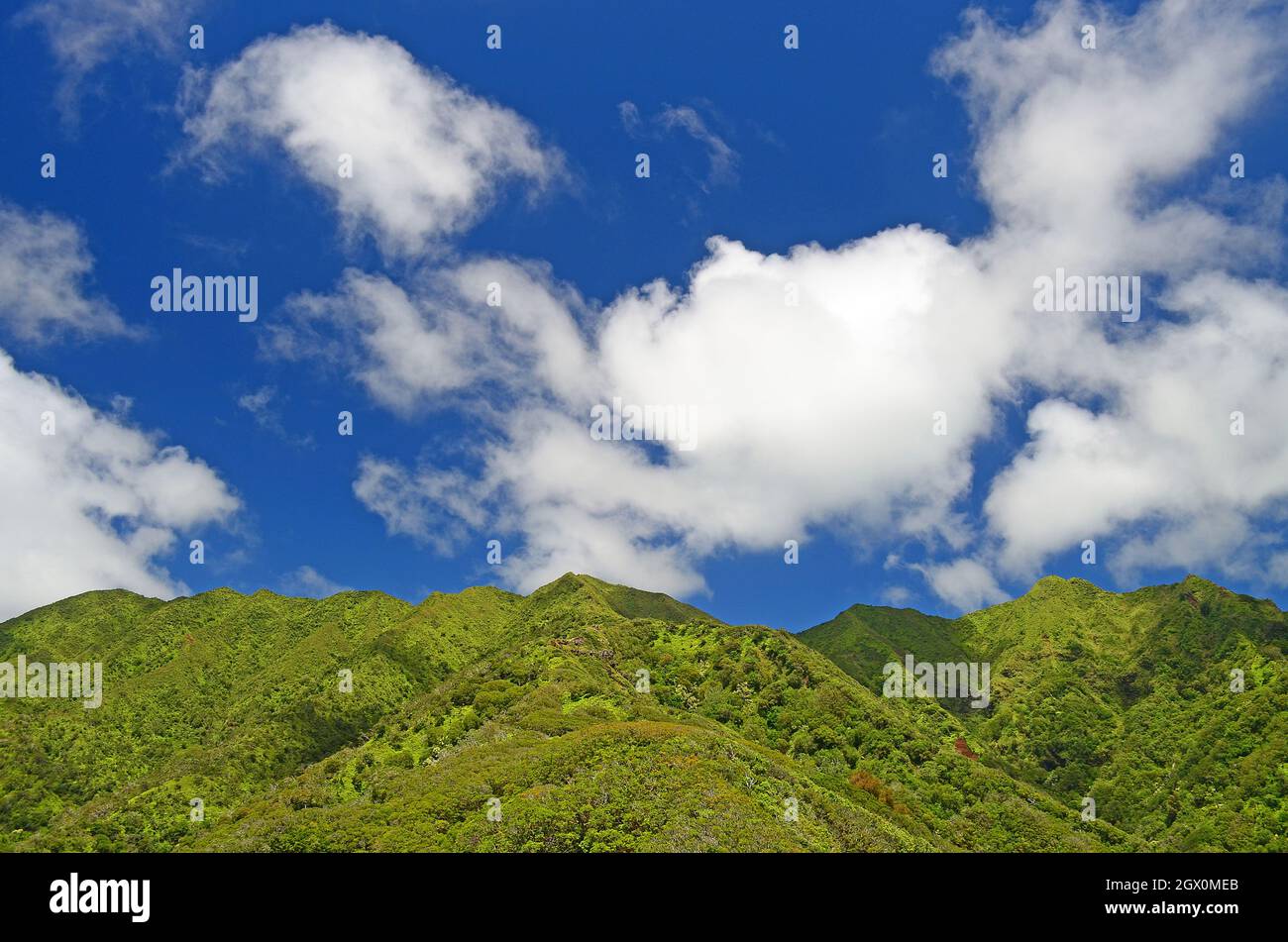 Blue ridge plateau hi-res stock photography and images - Alamy