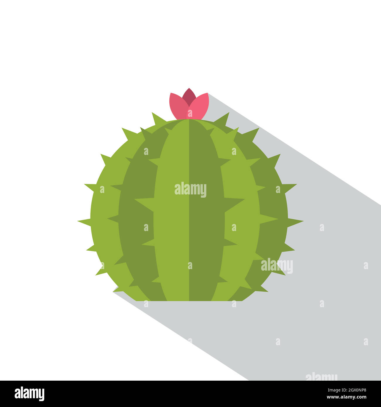 Cactus flat hi-res stock photography and images - Alamy