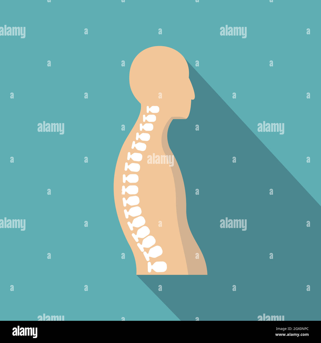 Human spine icon, flat style Stock Vector Image & Art - Alamy