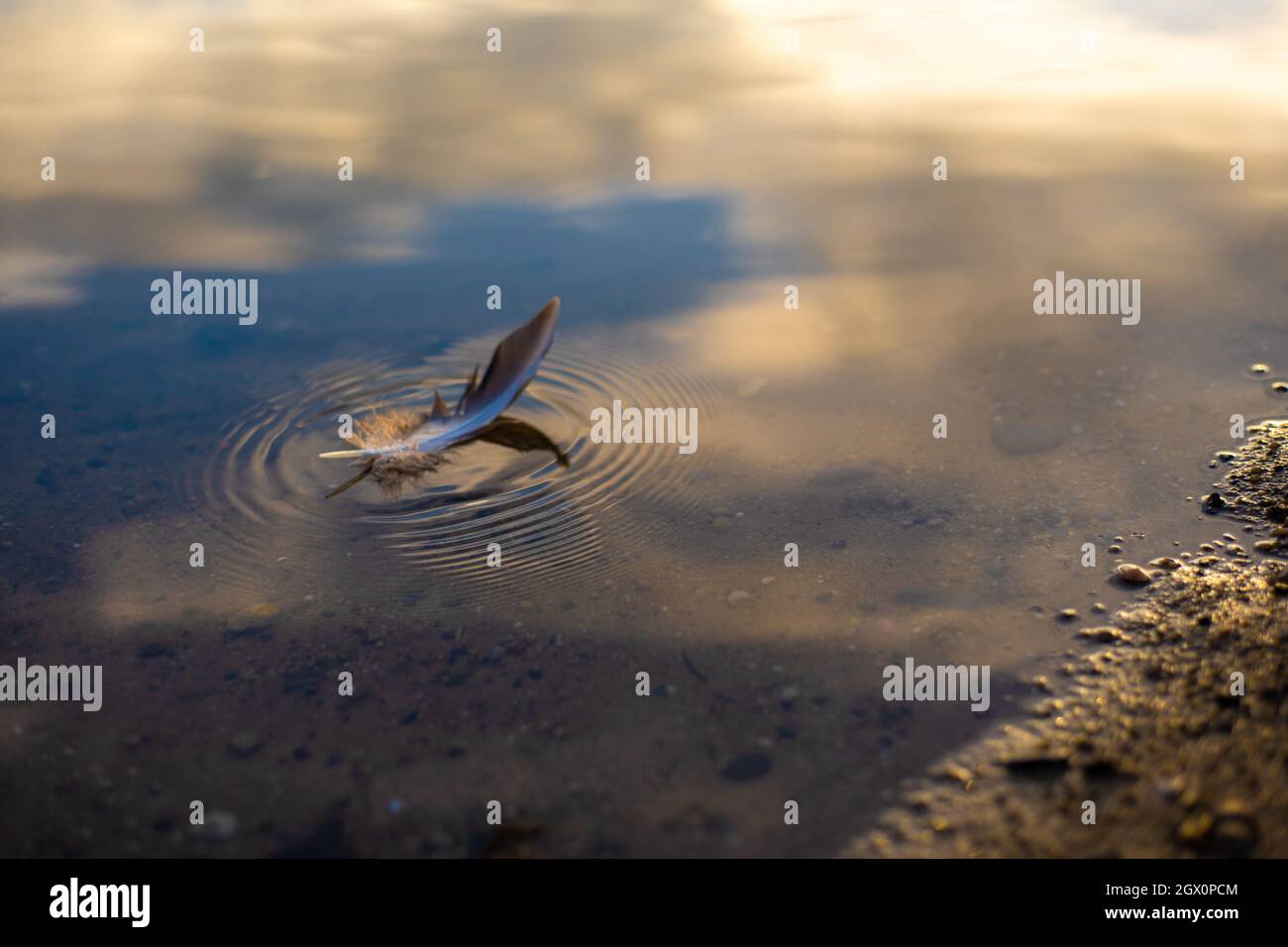 Feather waves hi-res stock photography and images - Alamy