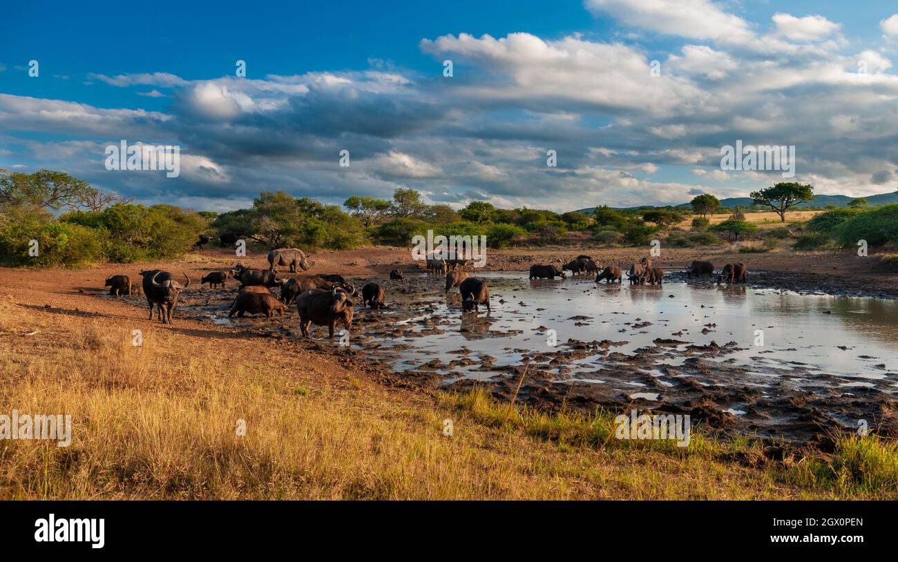 Mkuze river hi-res stock photography and images - Alamy