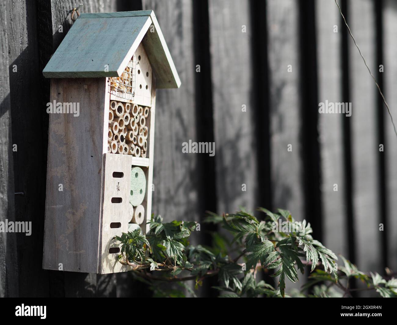 Insect housing hi-res stock photography and images - Alamy
