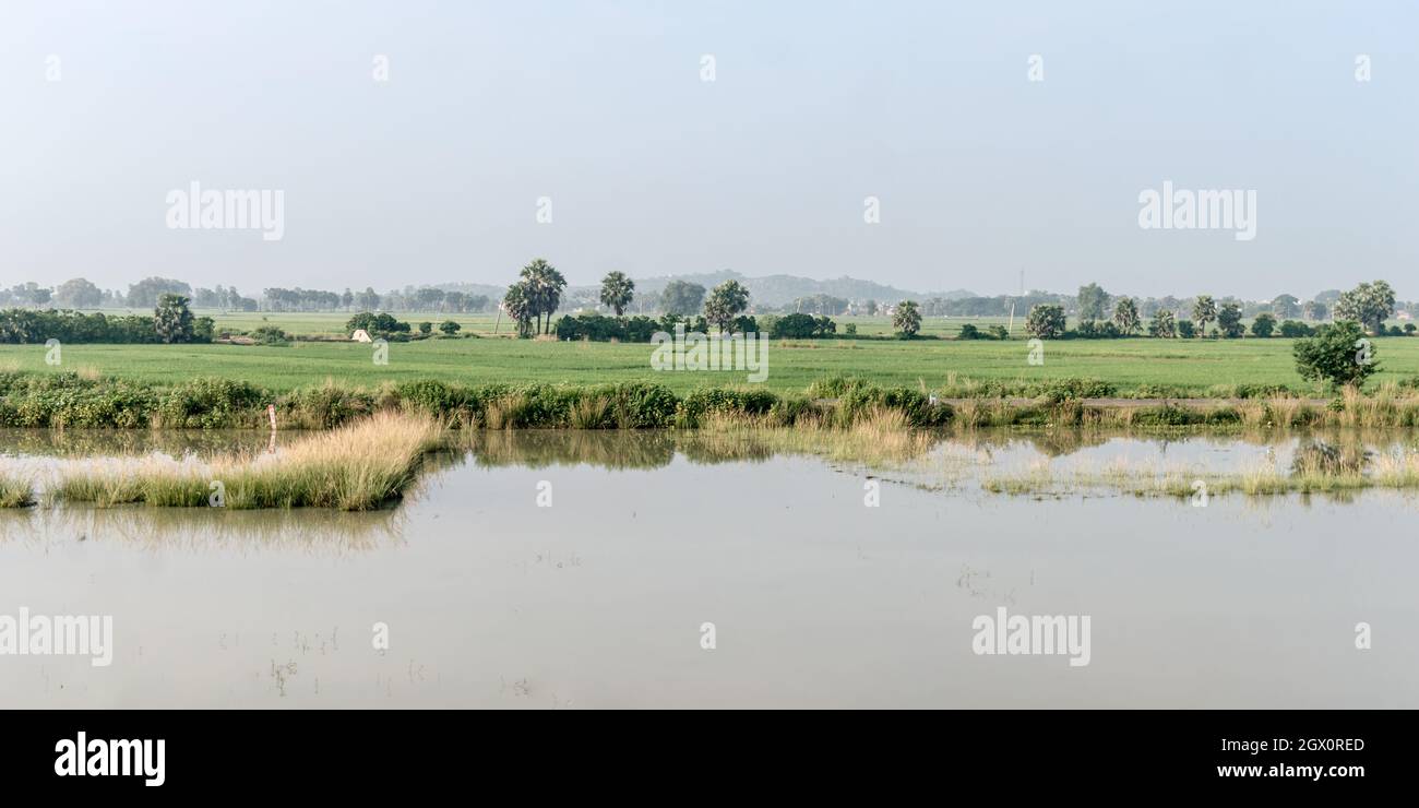 Monsoon india farm hi-res stock photography and images - Alamy