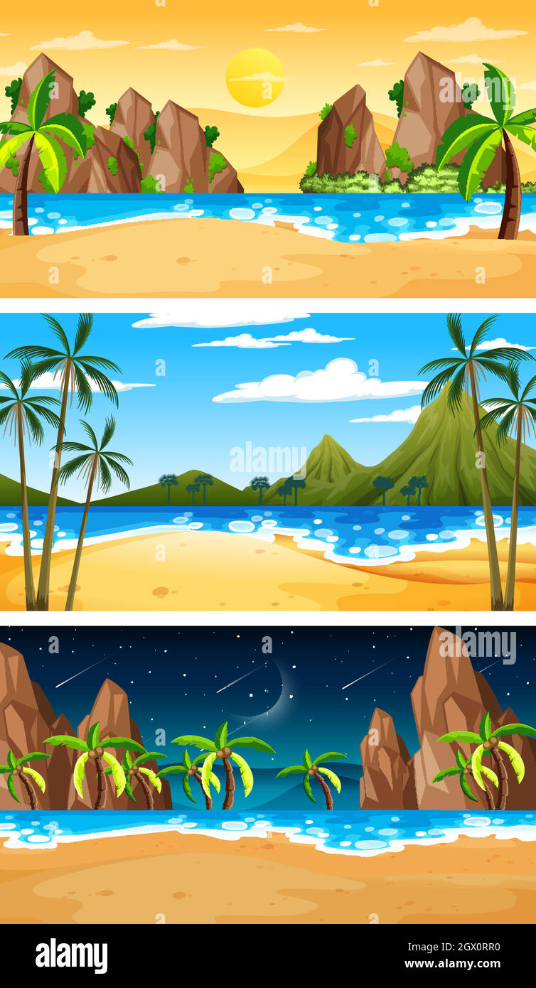 Summer in coniferous forest Stock Vector Images - Alamy