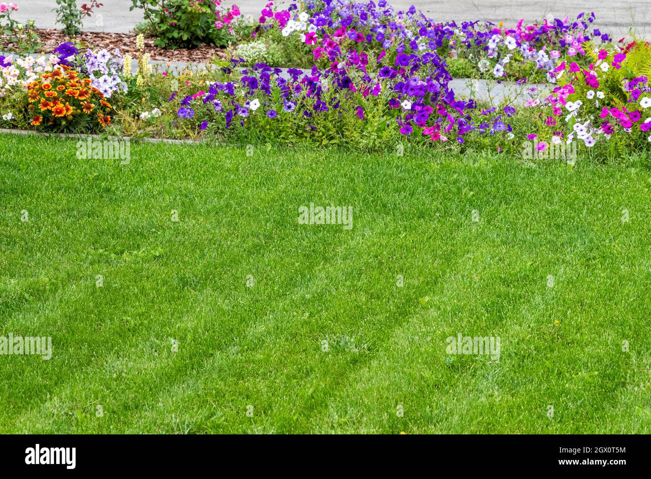 Beautiful evenly trimmed lawn in the backyard of a private house Stock ...