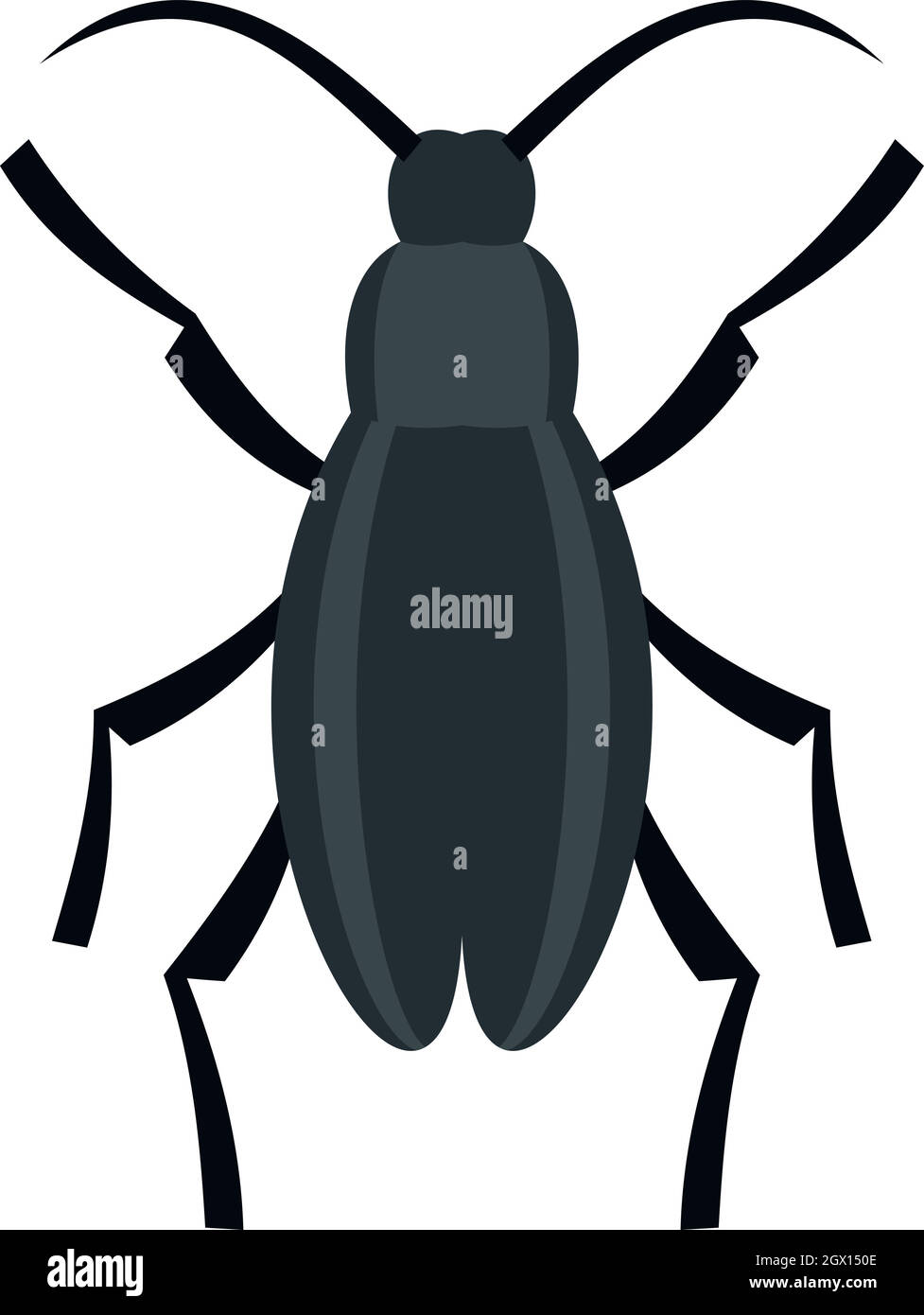 Gray beetle icon, flat style Stock Vector Image & Art - Alamy
