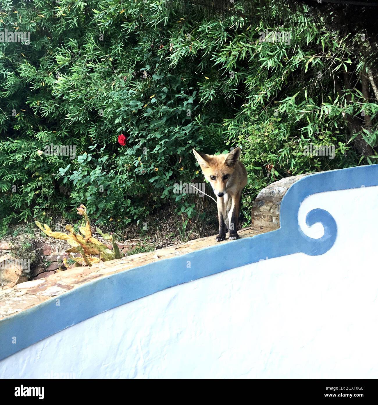Human meets nature hi-res stock photography and images - Alamy