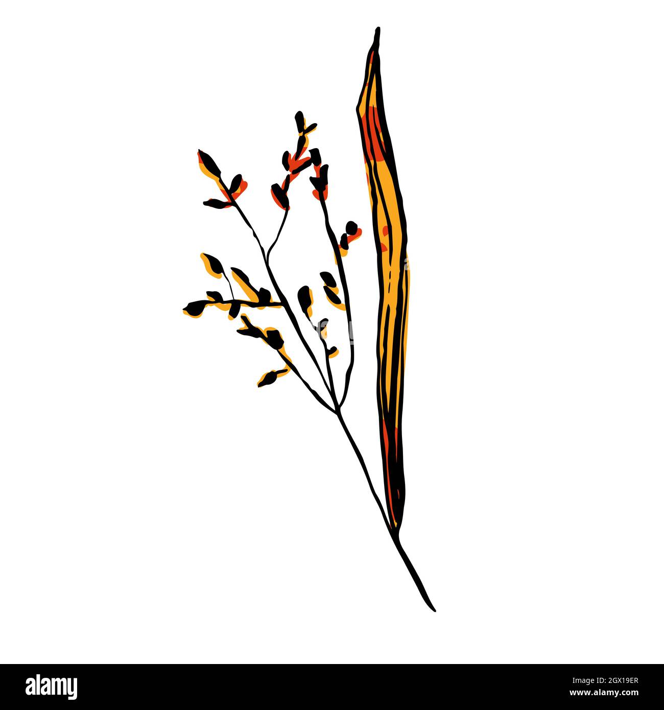 Autumn sketch yellow herb. Hand-drawn line grass with seeds isolated on ...