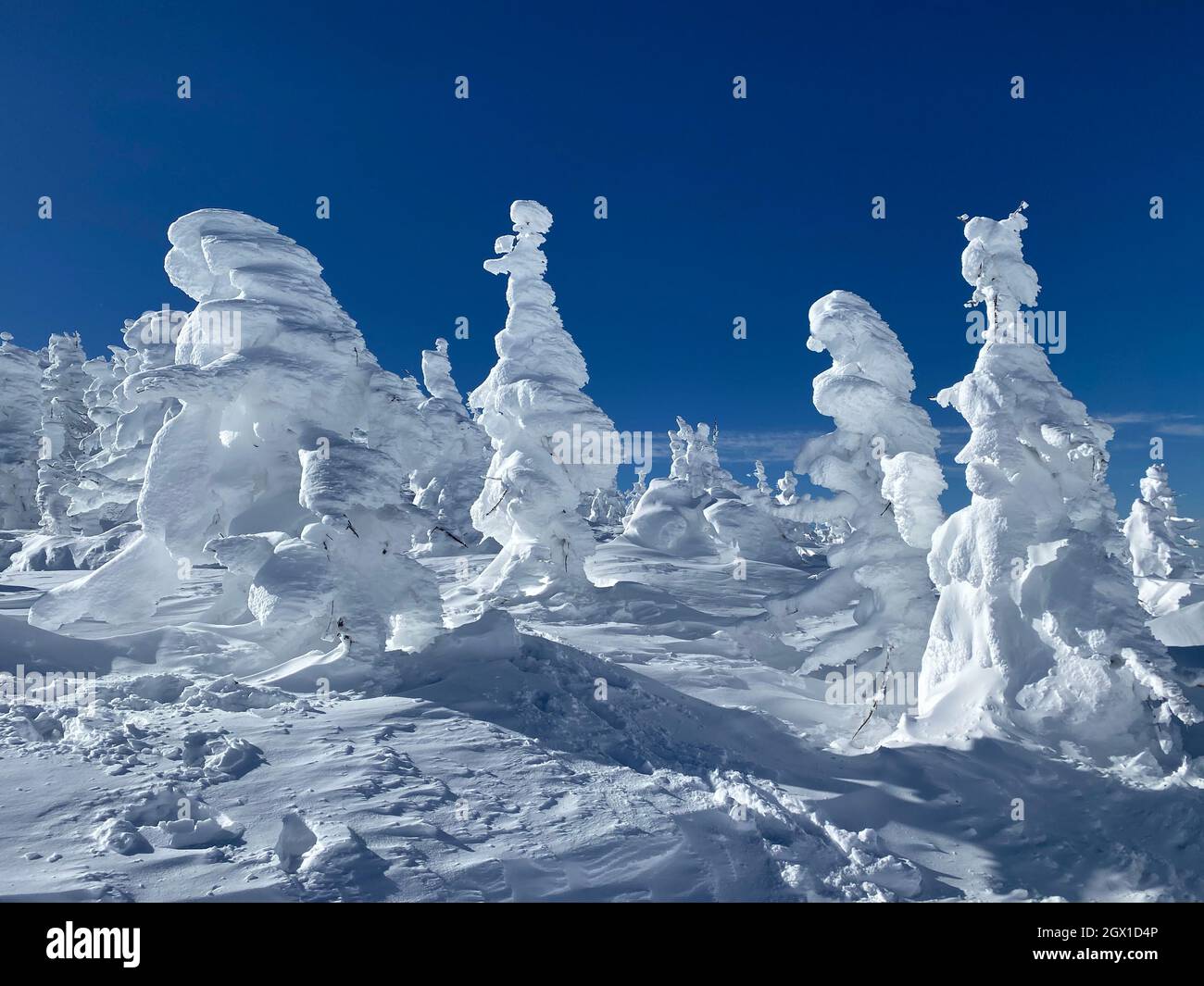 Zao mountain range hi-res stock photography and images - Alamy