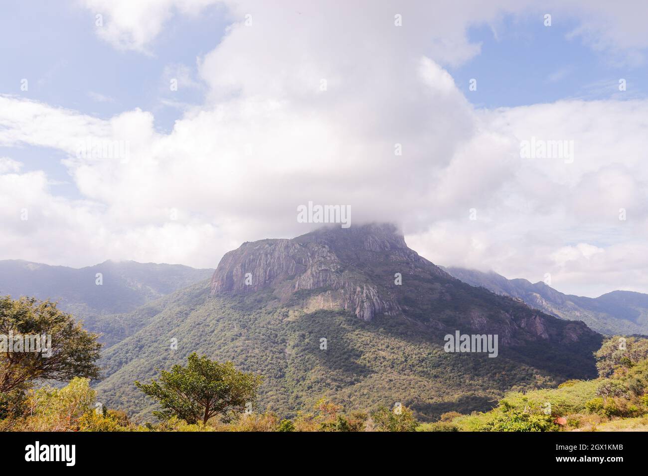 Coimbatore forest hi-res stock photography and images - Alamy