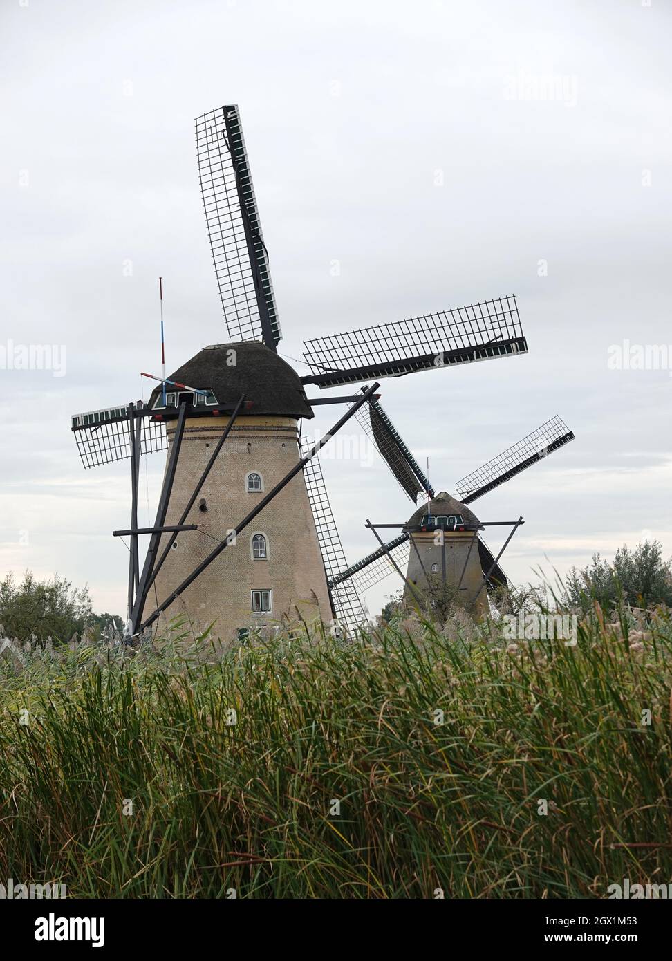 Two dutch windmills from 1740 with reed in front at Kinderdijk. UNESCO ...