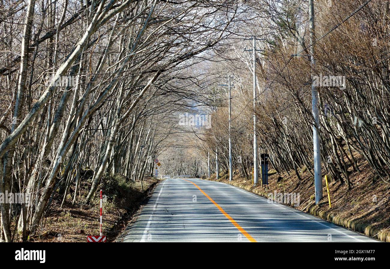 Mountain road at autumn in Nikko, Japan. Nikko offers beautiful scenery ...