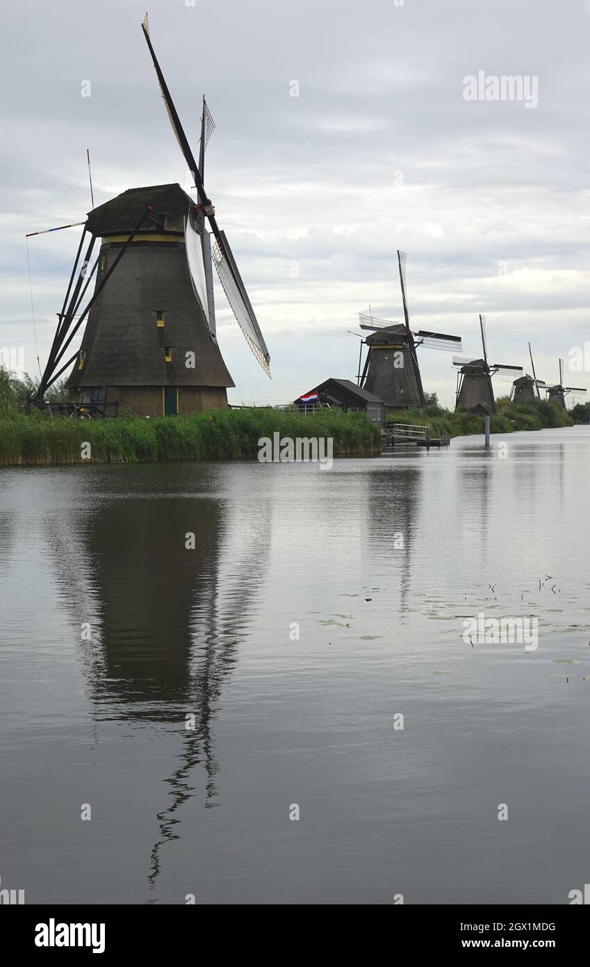 Vertical picture of five famous Dutch windmills. UNESCO world heritage ...