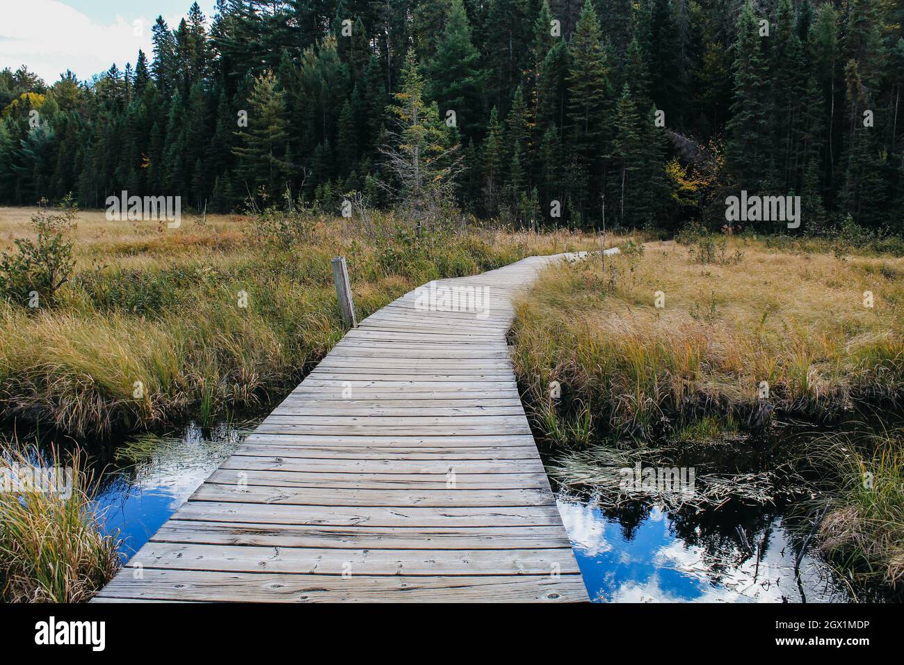 national park during fall in canada Stock Photo - Alamy