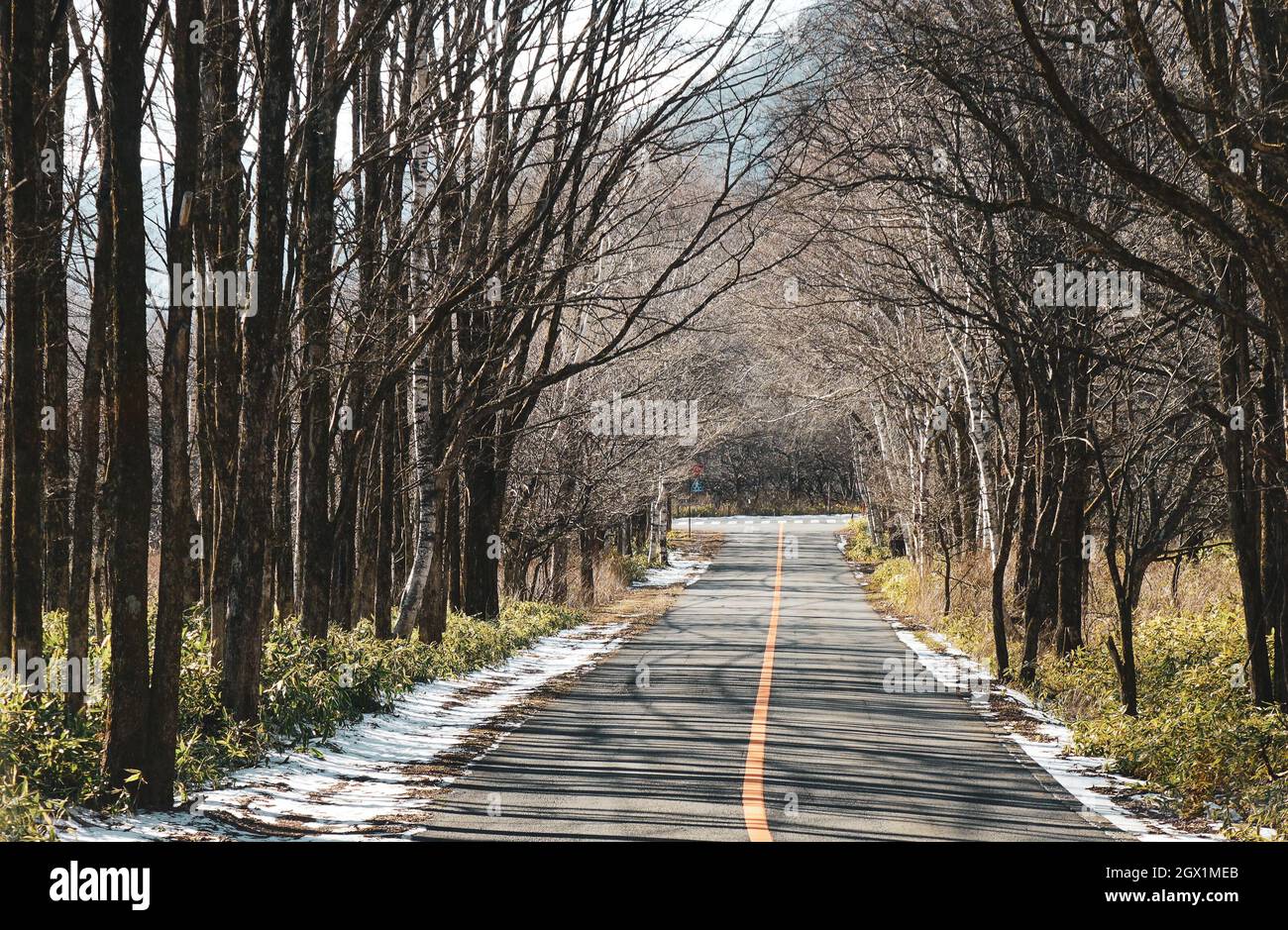 Mountain road at autumn in Nikko, Japan. Nikko offers beautiful scenery ...