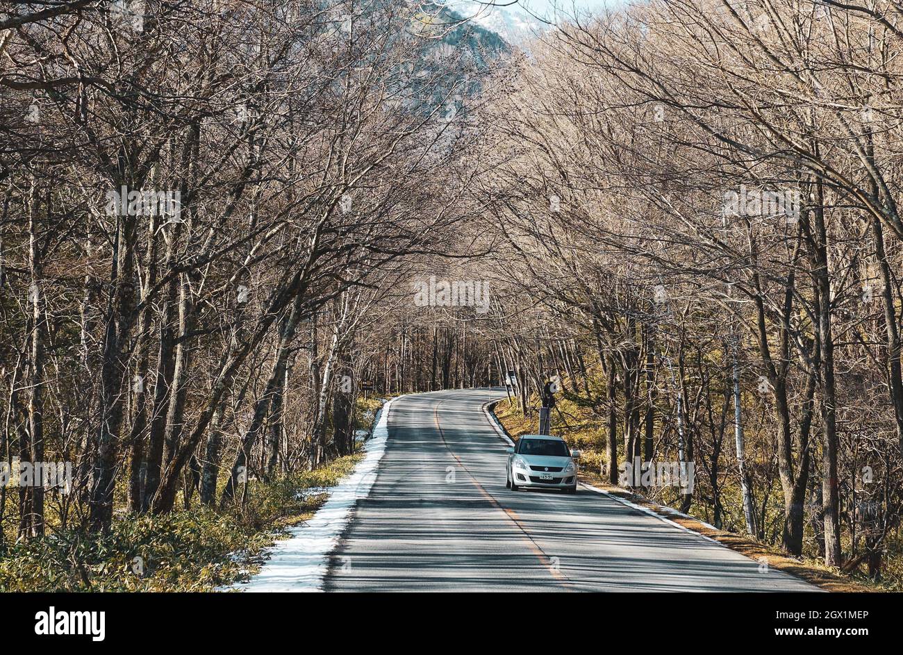 Nikko, Japan - Jan 2, 2016. Mountain road at autumn in Nikko, Japan ...