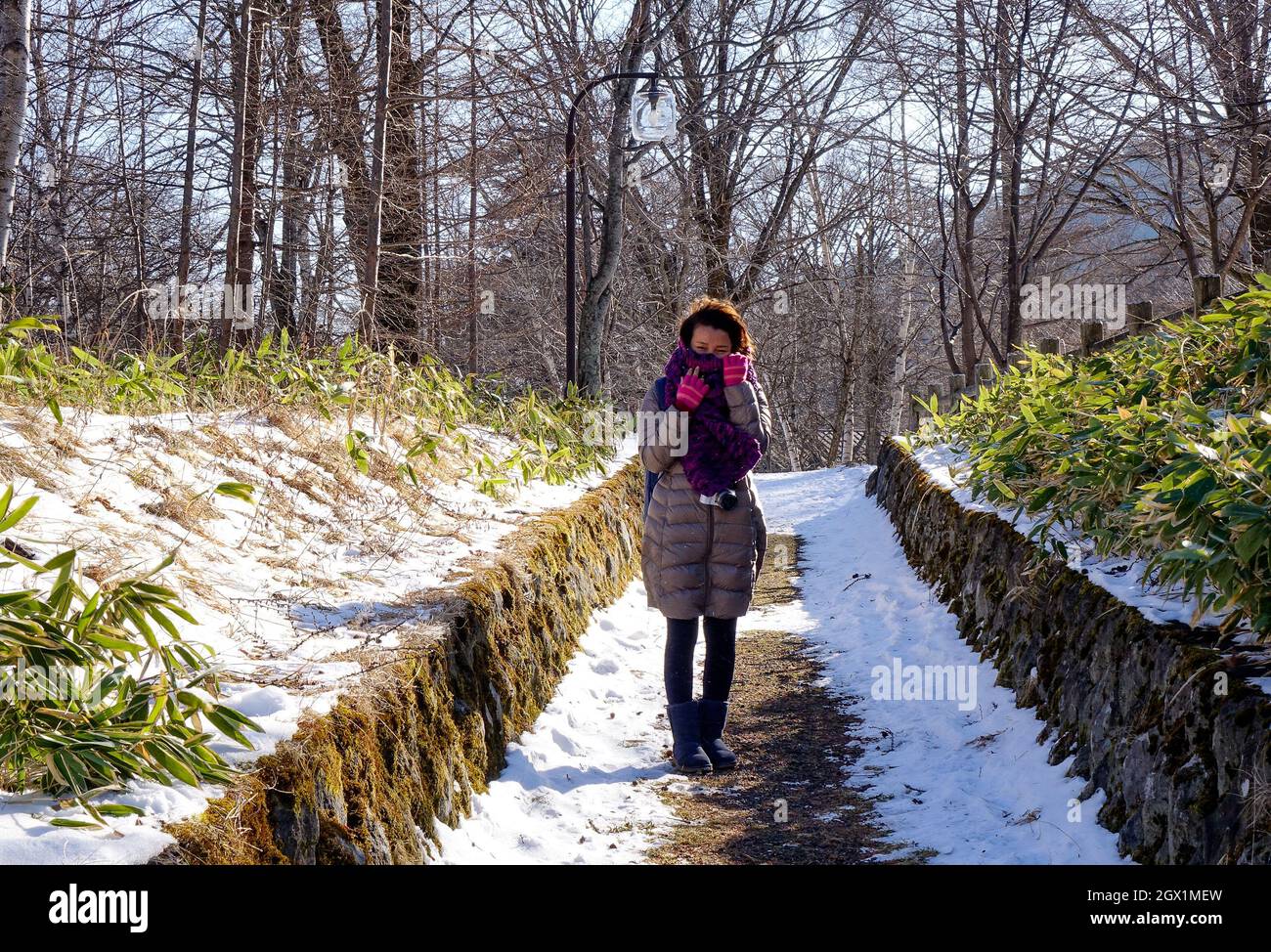 Traveler at winter forest of Nikko, Japan. Nikko is famous for its ...