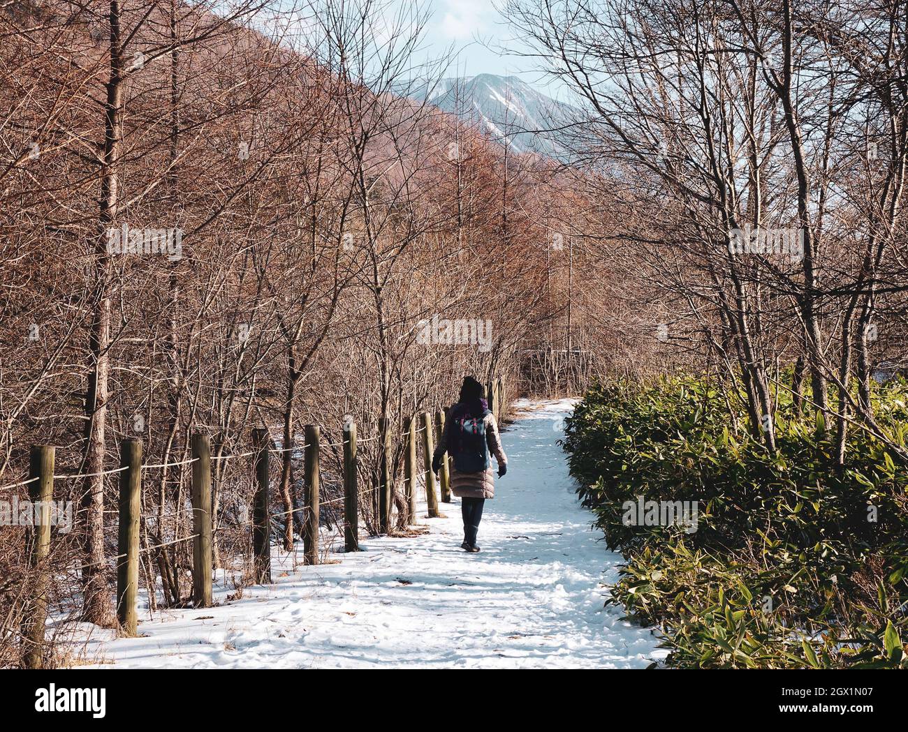 Traveler at winter forest of Nikko, Japan. Nikko is famous for its ...