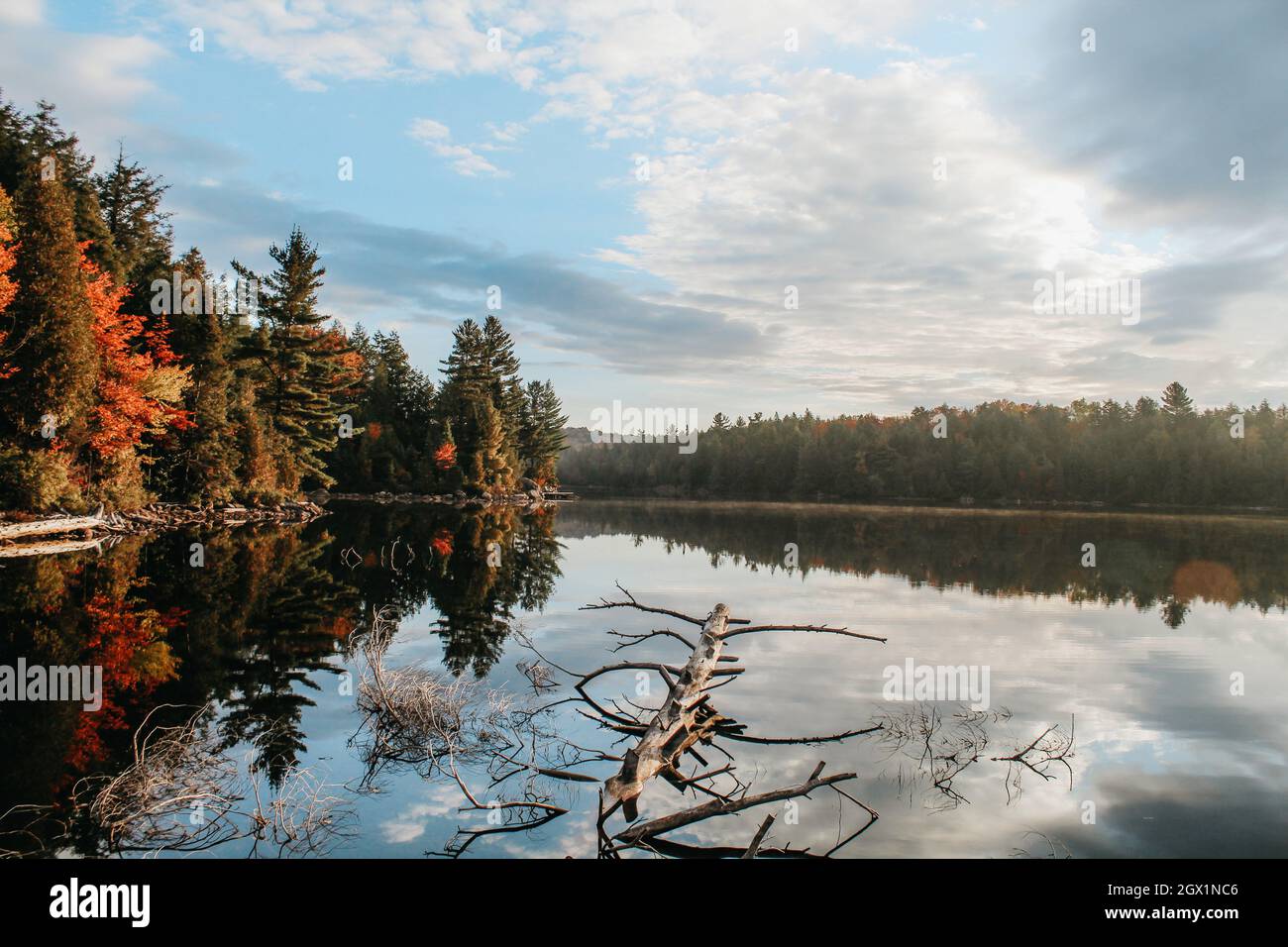 Fall in canada hi-res stock photography and images - Alamy