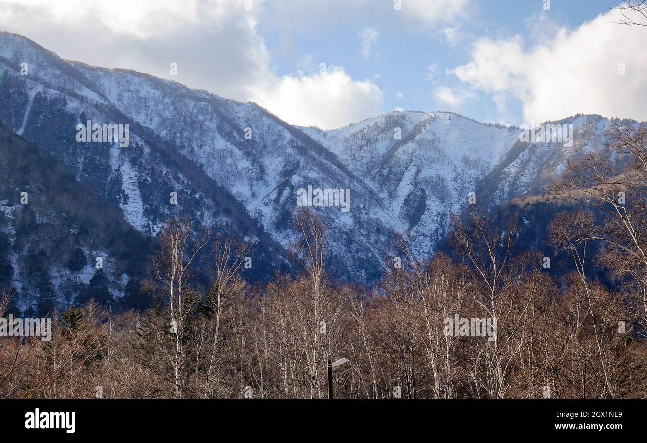 Winter forest of Nikko, Japan. Nikko is famous for its beautiful ...