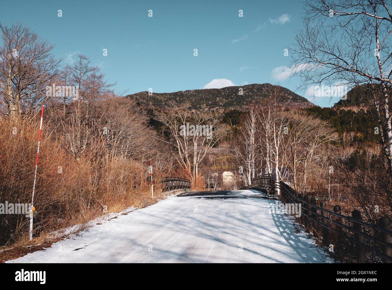 Winter forest of Nikko, Japan. Nikko is famous for its beautiful ...