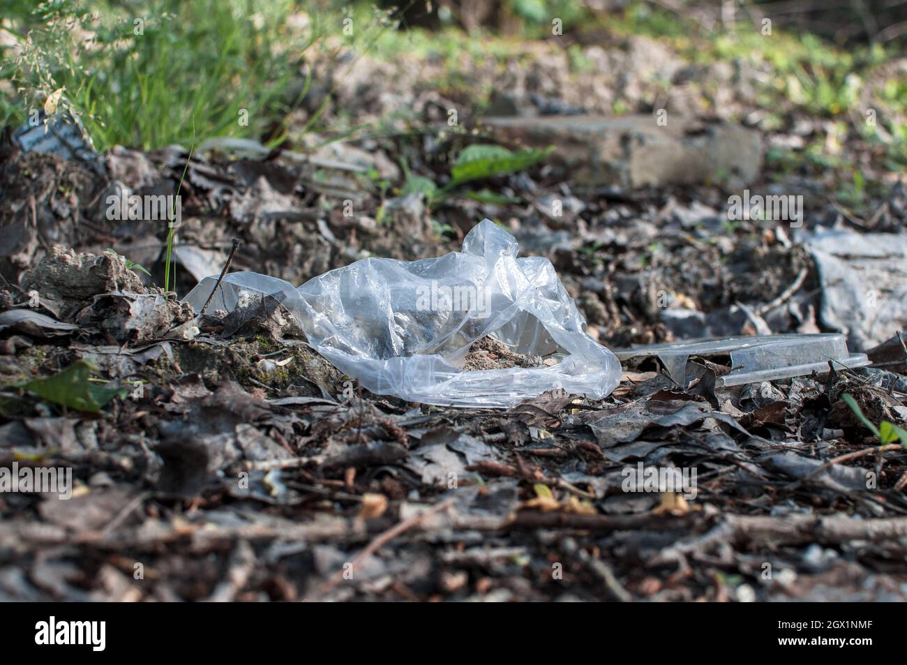Pollution eating tree hi-res stock photography and images - Alamy