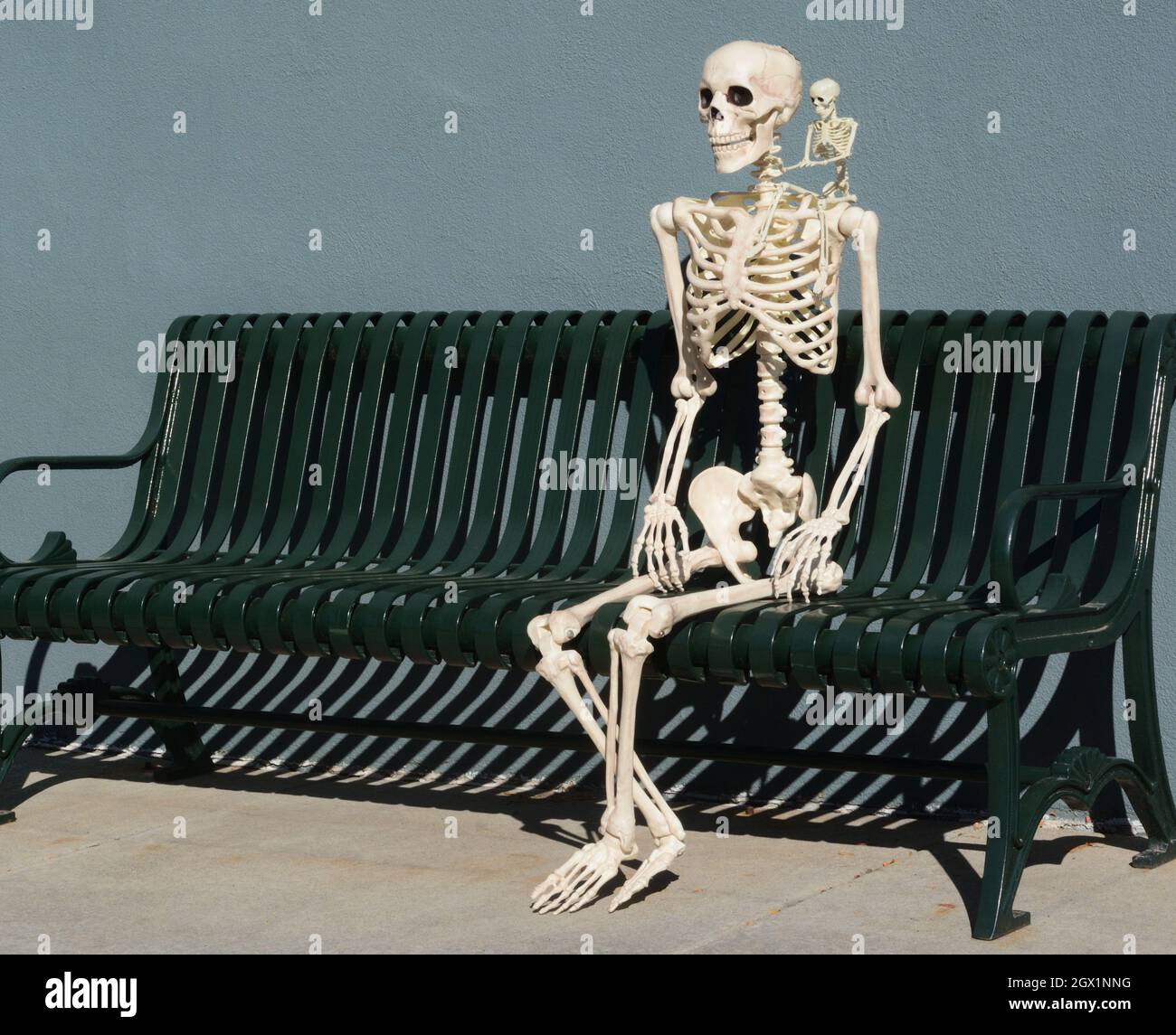 Skeleton sitting on bench hi-res stock photography and images - Alamy