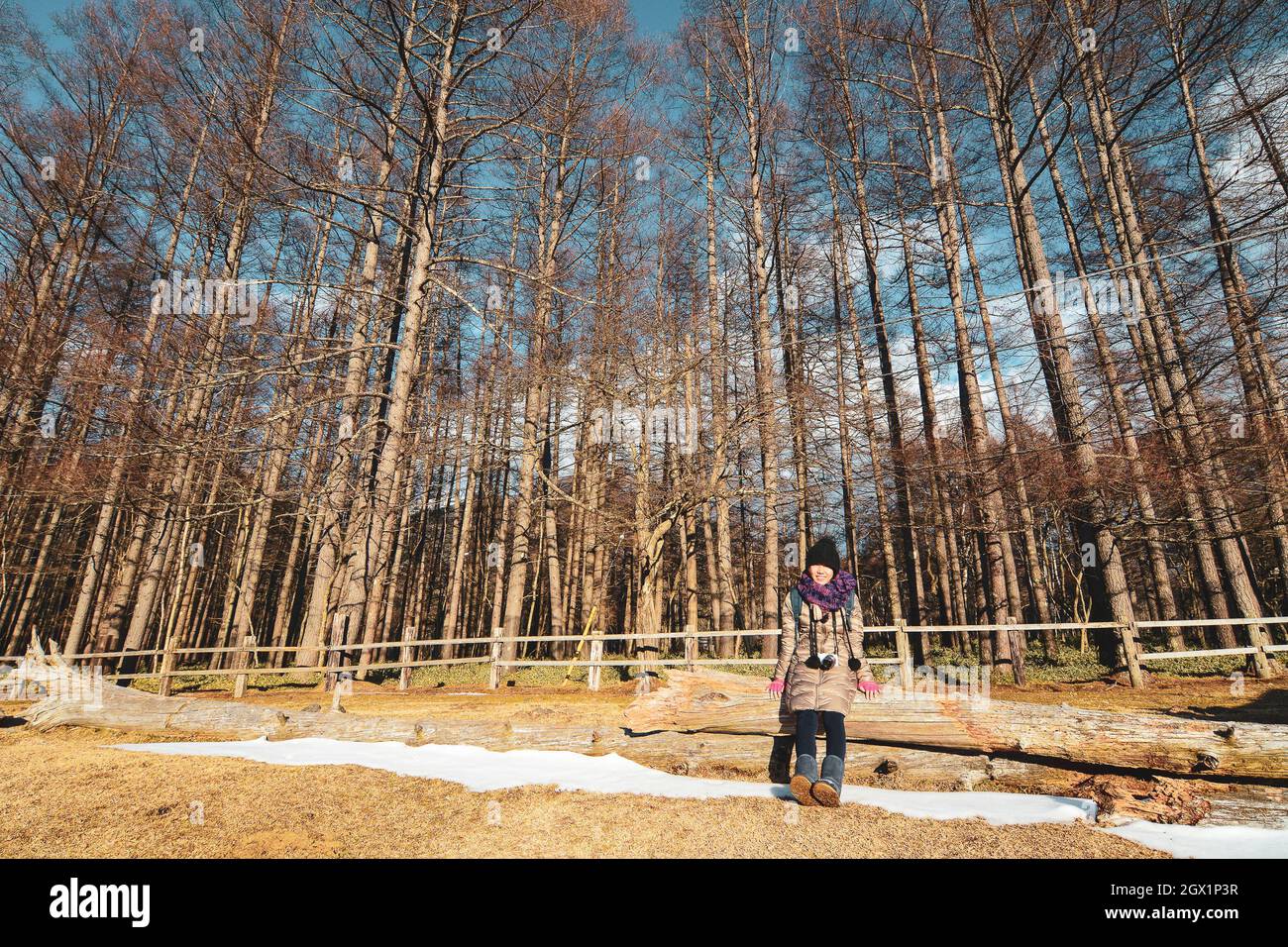 Traveler at winter forest of Nikko, Japan. Nikko is famous for its ...