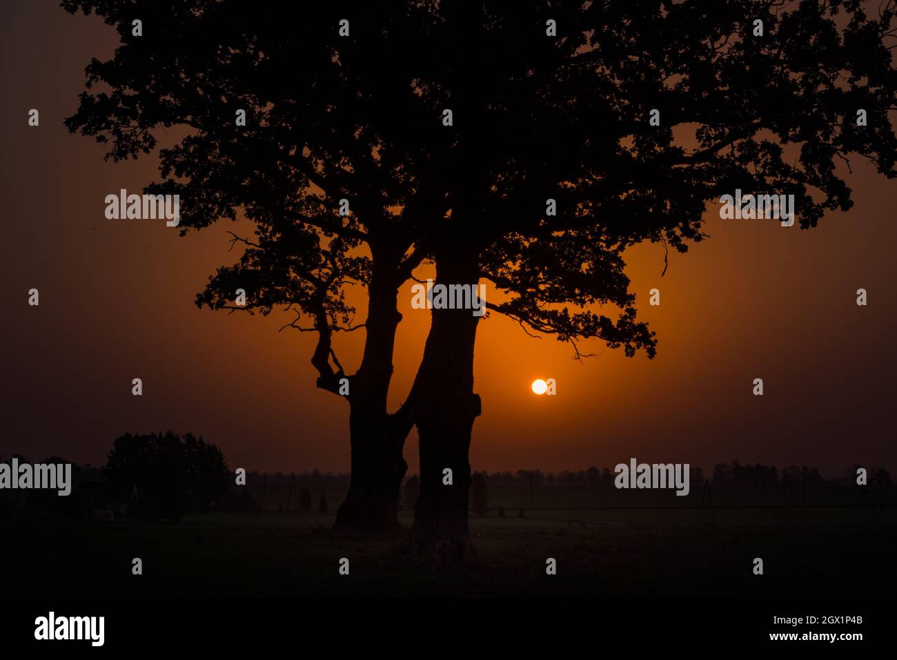 Dust particles sunlight hi-res stock photography and images - Alamy