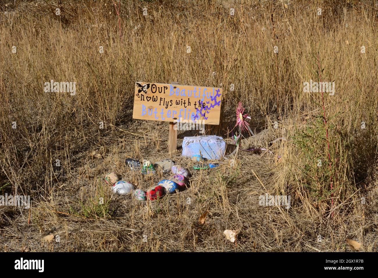 Roadside memorial in grass with painted rocks and sign about freedom to ...