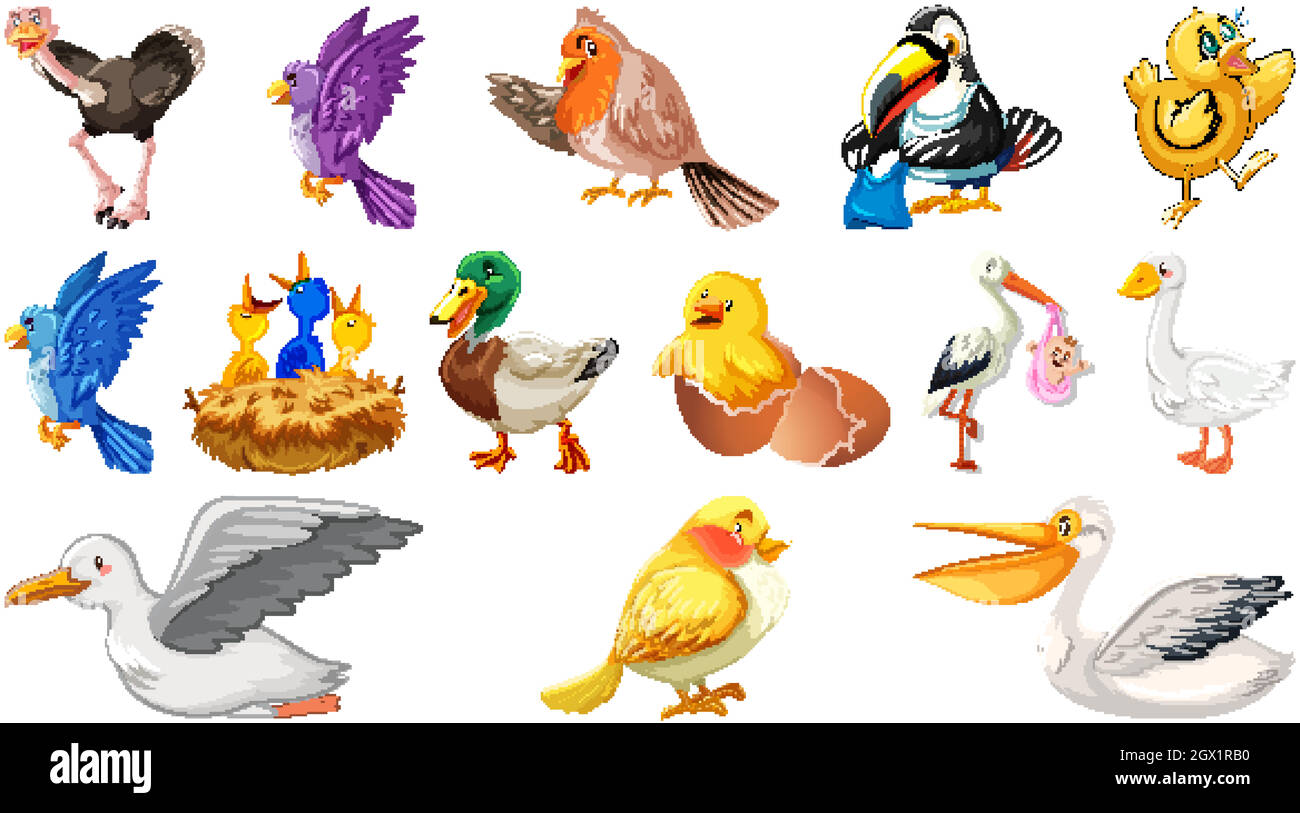 Set of different birds cartoon style isolated on white background Stock ...