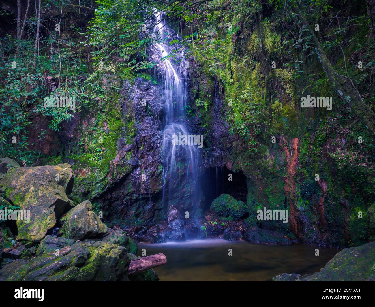 Green gurun hi-res stock photography and images - Alamy