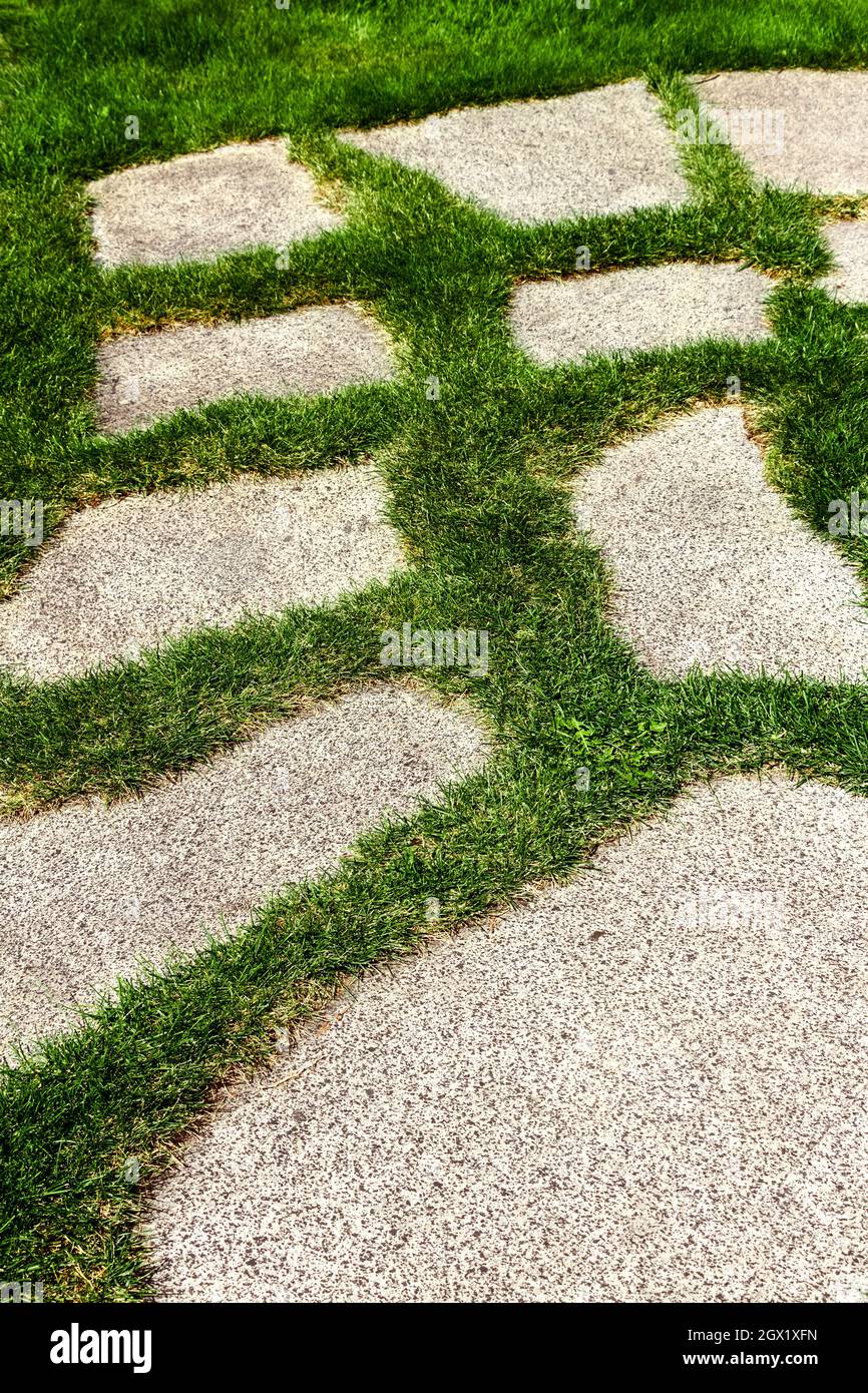 Beautiful path through the green lawn in the park Stock Photo - Alamy