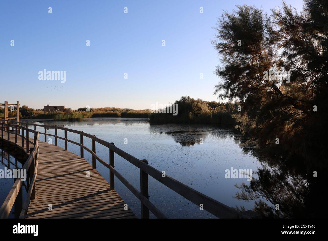 Azraq jordan nature reserve hi-res stock photography and images - Alamy