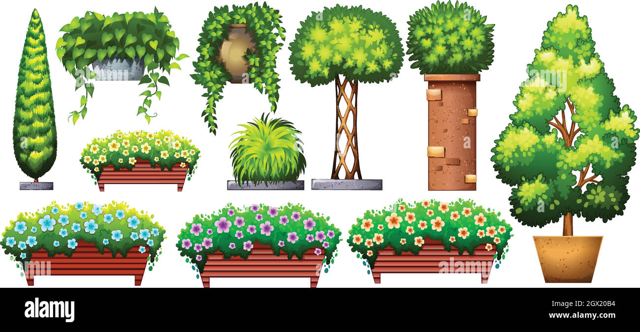 Containers for plants Stock Vector Images - Alamy