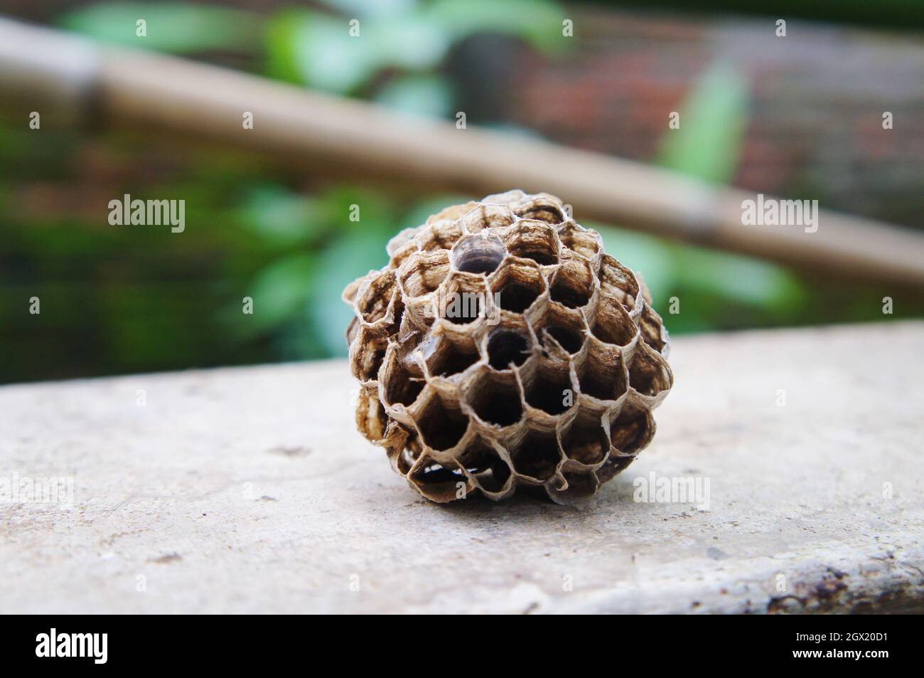 House for bees hi-res stock photography and images - Alamy