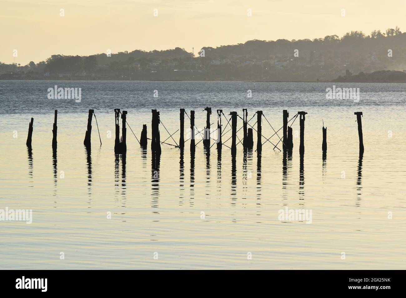 Bahia de montevideo hi-res stock photography and images - Alamy