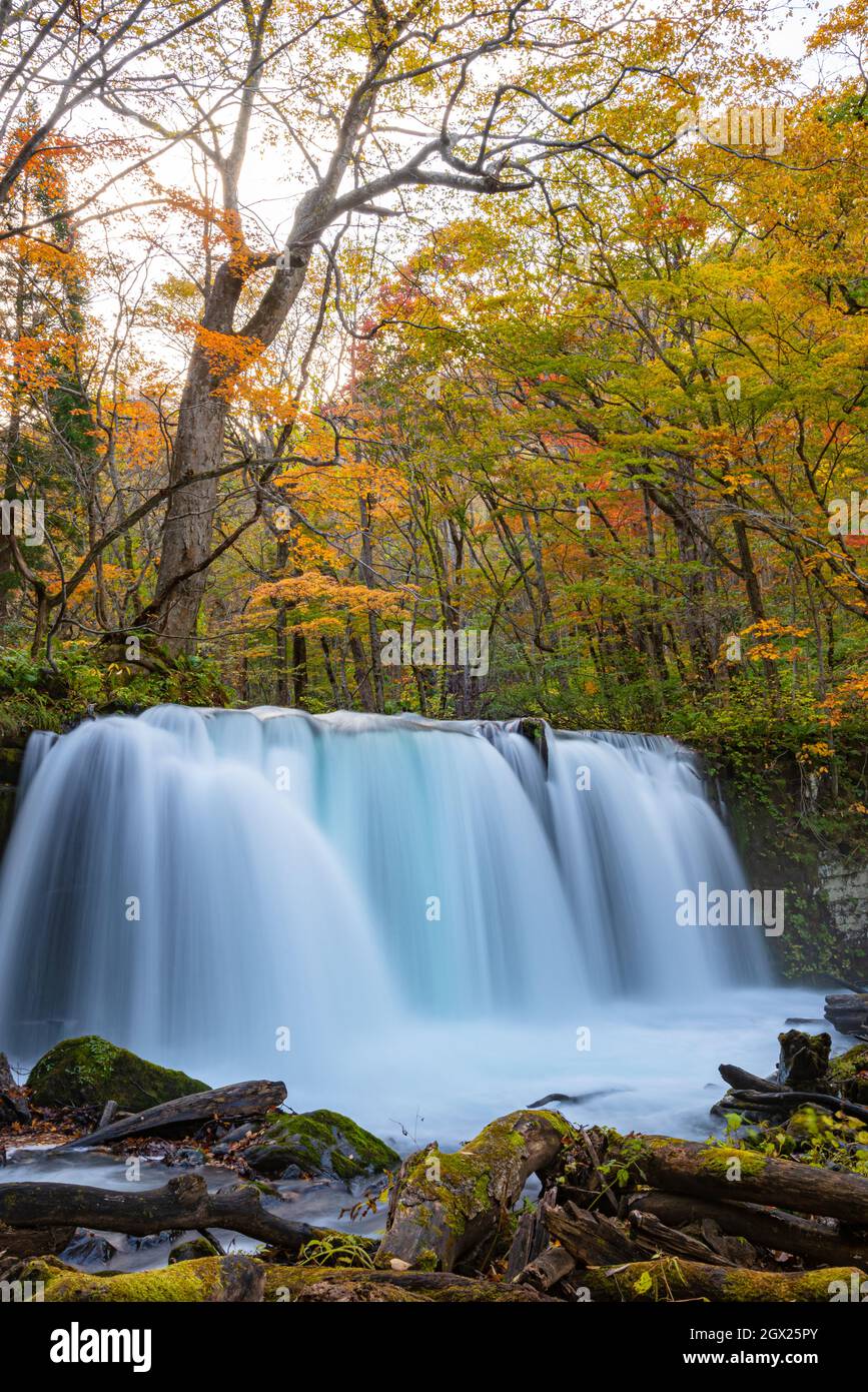 Otaki valley hi-res stock photography and images - Alamy