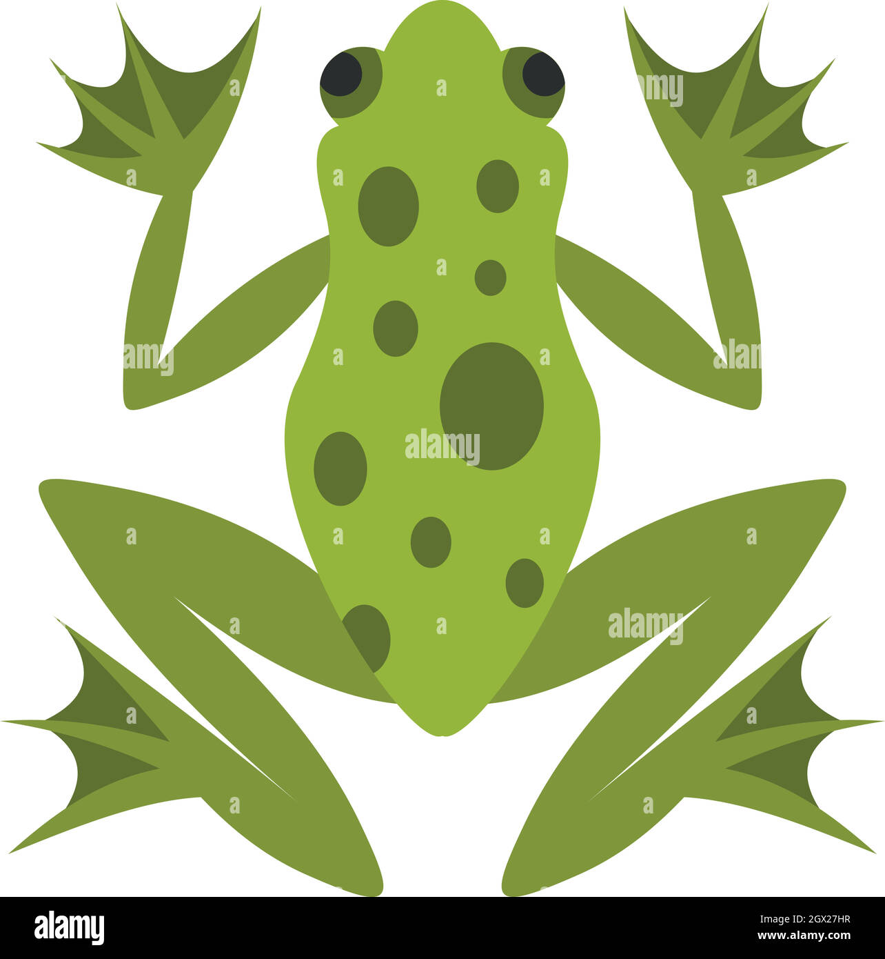 Frog icon, flat style Stock Vector Image & Art - Alamy