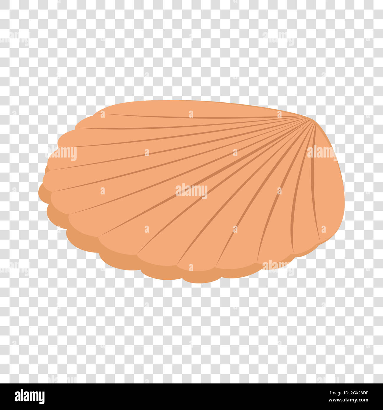 Shell decoration Stock Vector Images - Alamy