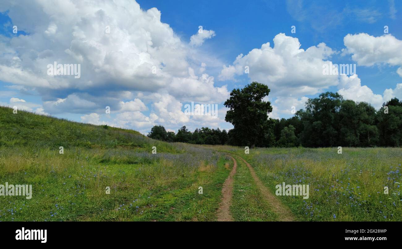 Cumulus clouds over prairie hi-res stock photography and images - Alamy