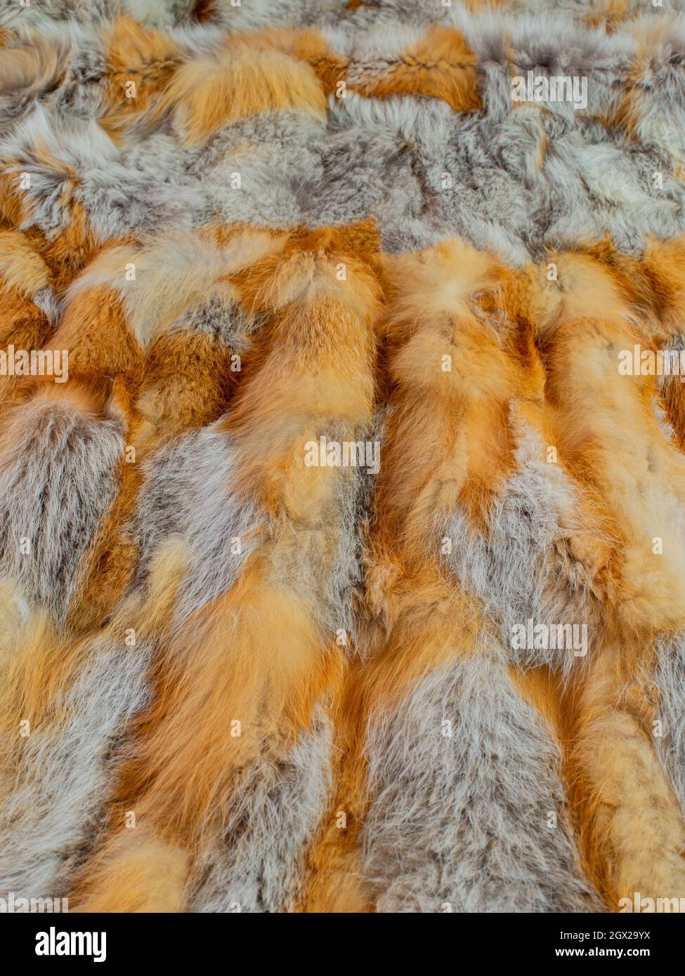 Red fox fur hi-res stock photography and images - Alamy