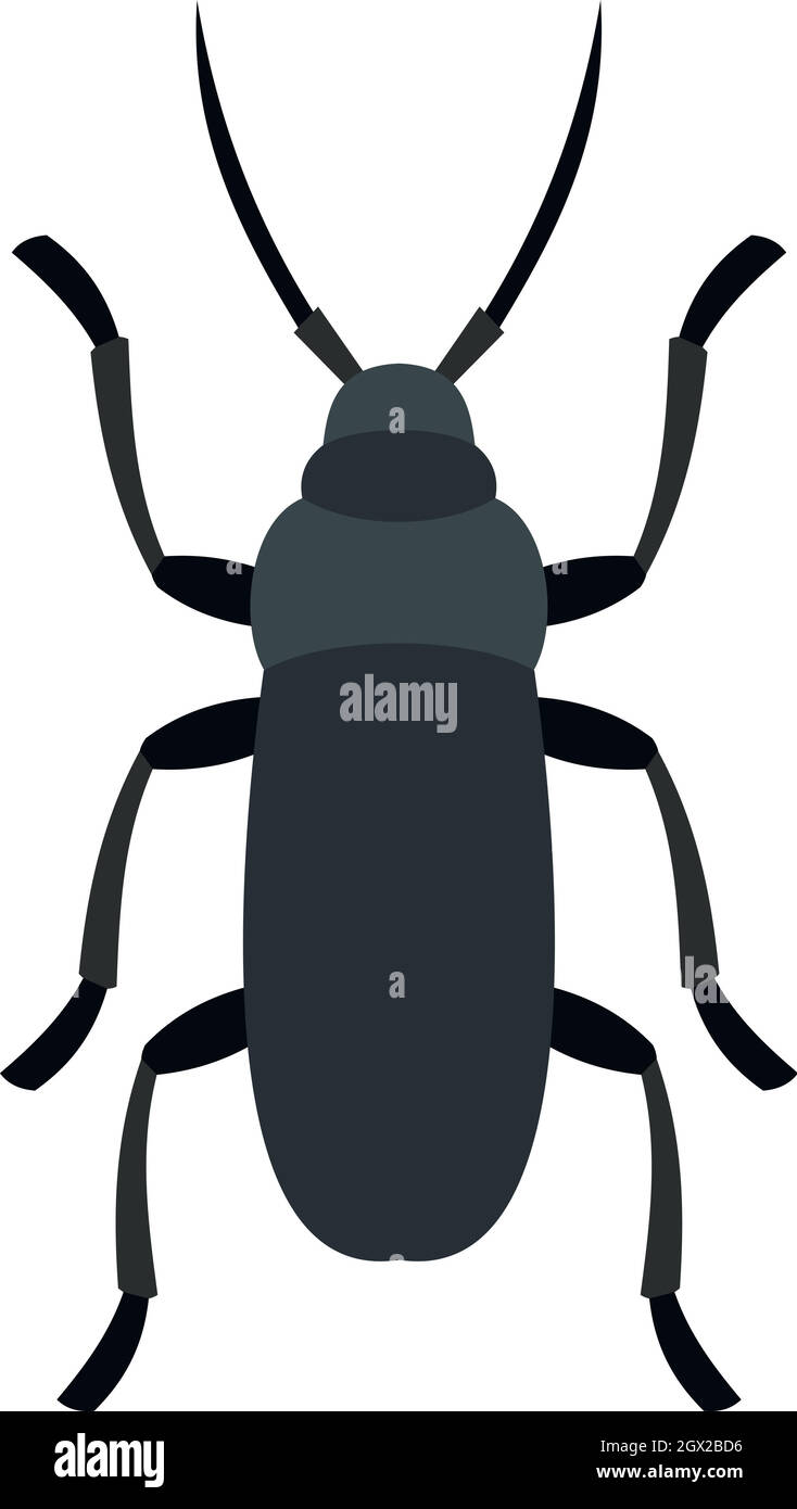 Potato bug Stock Vector Images - Alamy