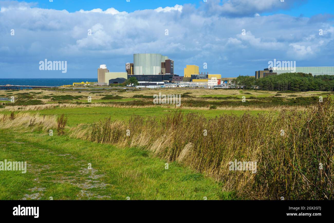 Wylfa Site, Nuclear Decommissioning Authority, Magnox Ltd, Wales Stock ...