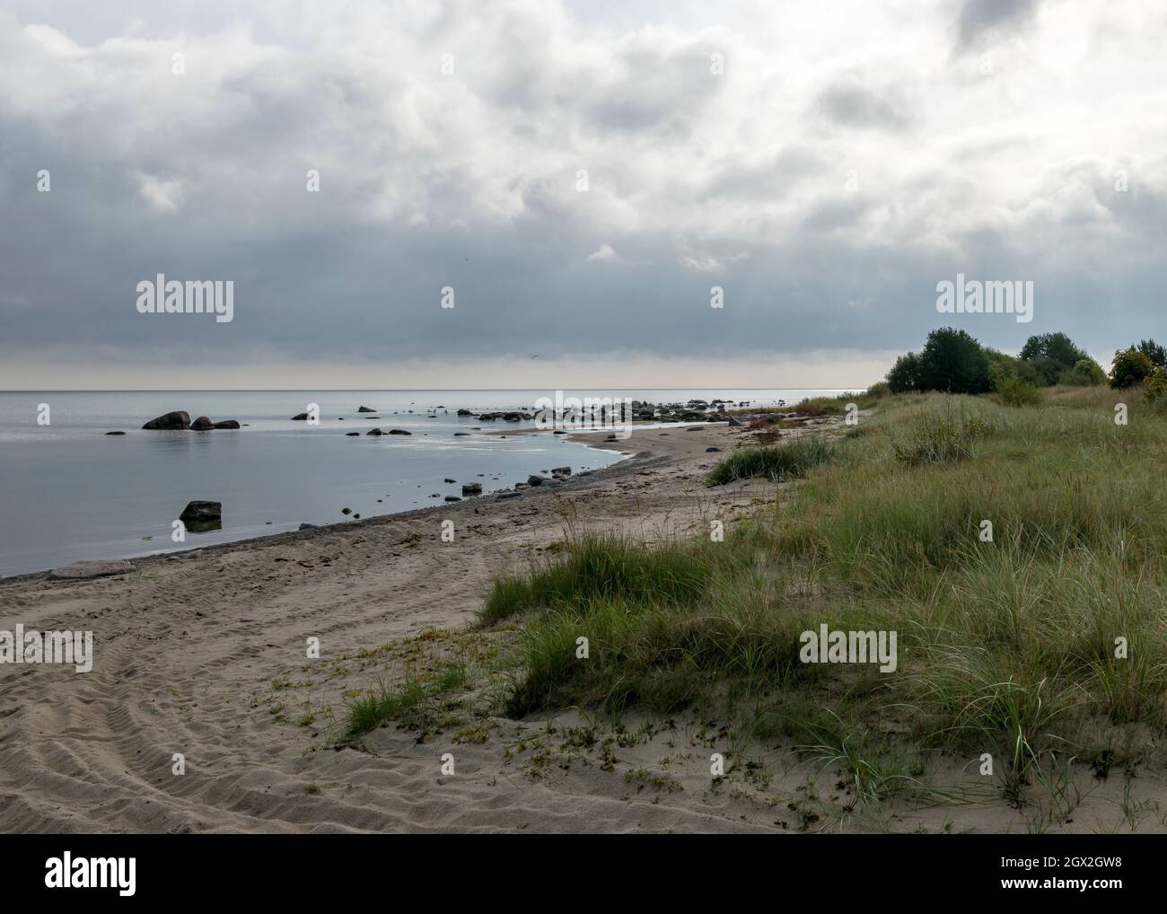 view of the unusual landscape of Kaltene beach, formed by large ...
