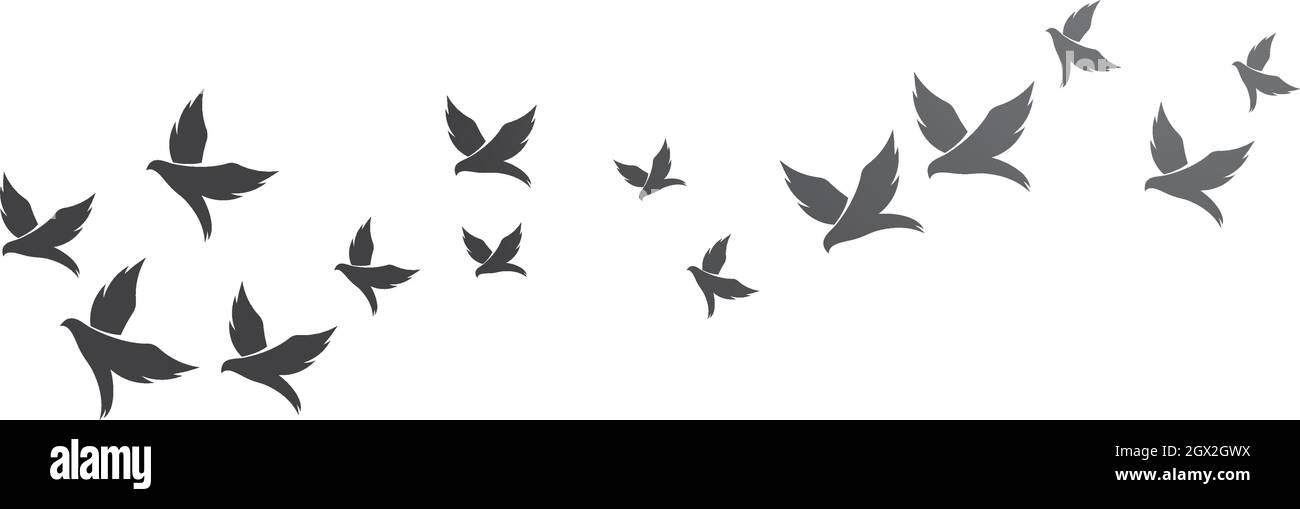 Bird background Template vector illustration Stock Vector Image & Art ...