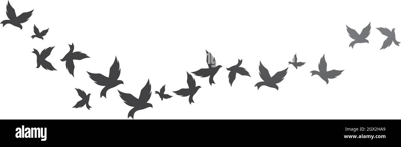 Bird background Template vector illustration Stock Vector Image & Art ...