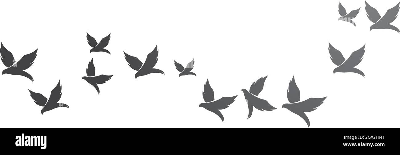 Bird background Template vector illustration Stock Vector Image & Art ...