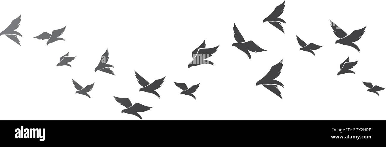 Bird background Template vector illustration Stock Vector Image & Art ...