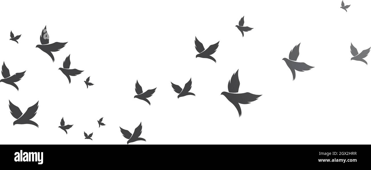 Bird background Template vector illustration Stock Vector Image & Art ...